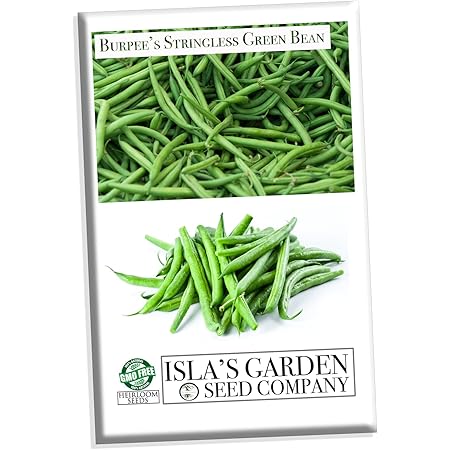 Amazon.com : Burpee Stringless Green Bush Bean - 25 Count Seed Pack ...