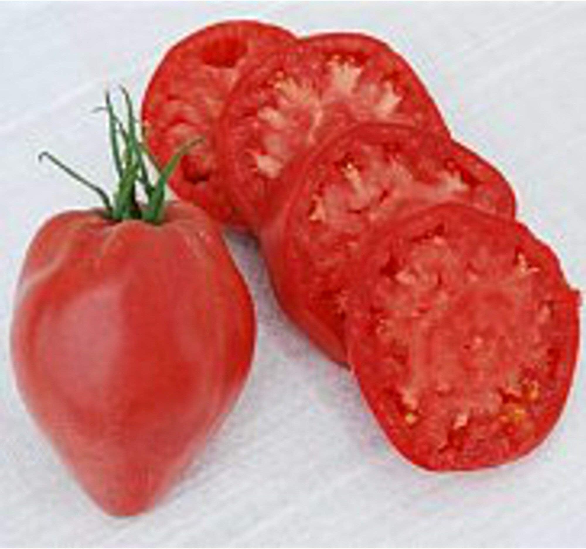 Amazon.com : Hungarian Heart Tomato Seeds (((50 Seed Packet))) (More ...