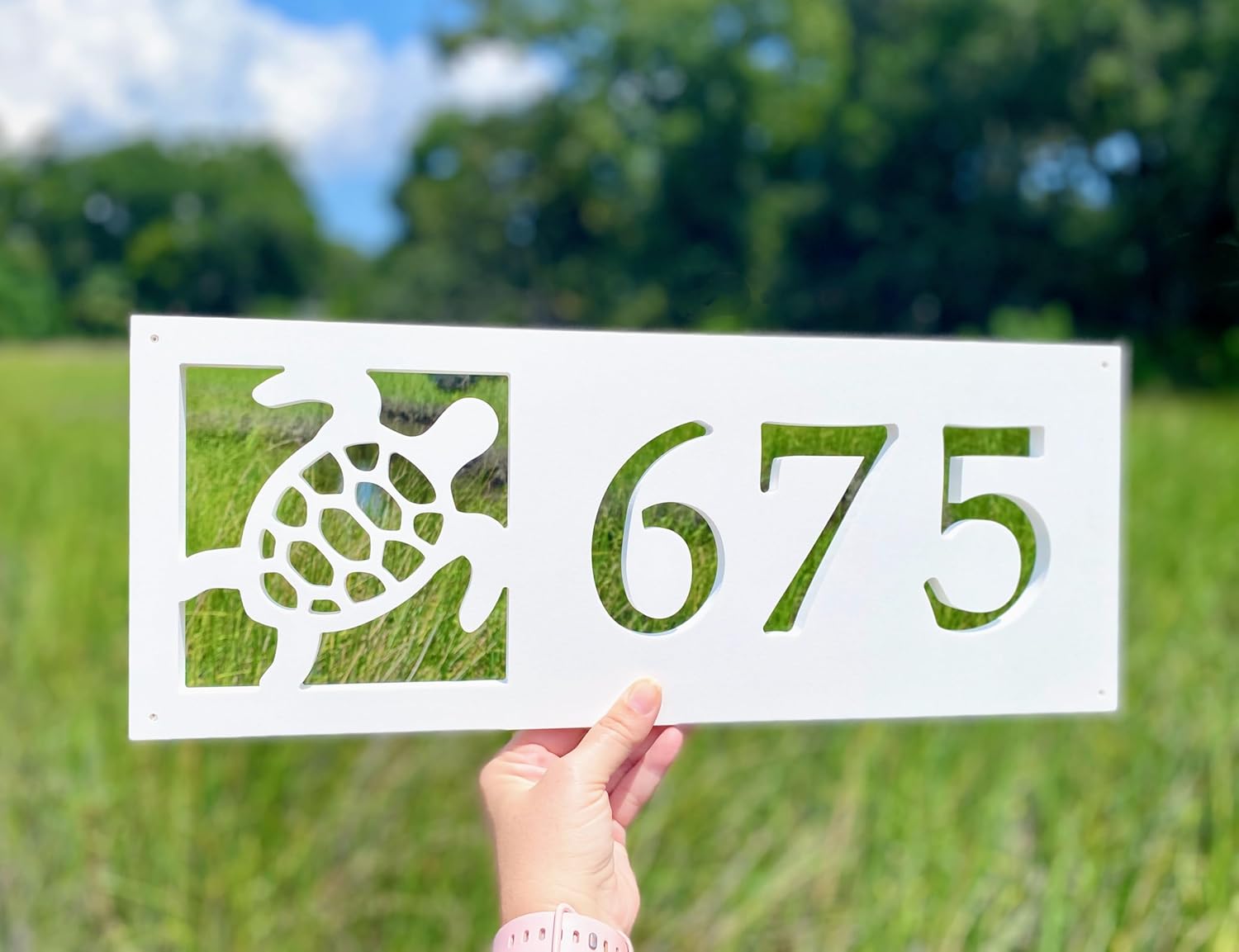 Amazon.com: 30+ Design Choices/Horizontal Sea Turtle Address Sign ...