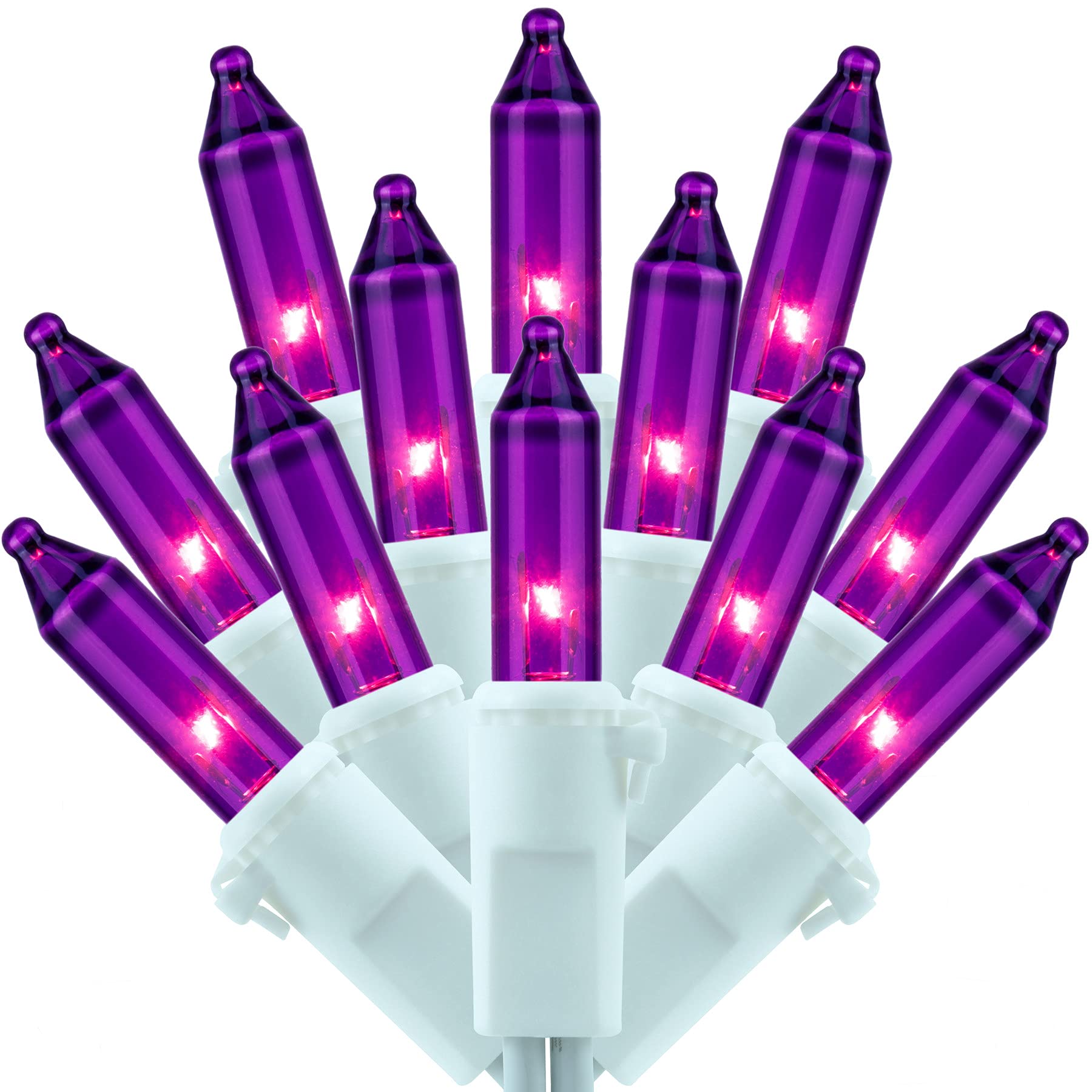 5 Best Purple Outdoor Lights | Bright, Bold Purple Outdoor Lights