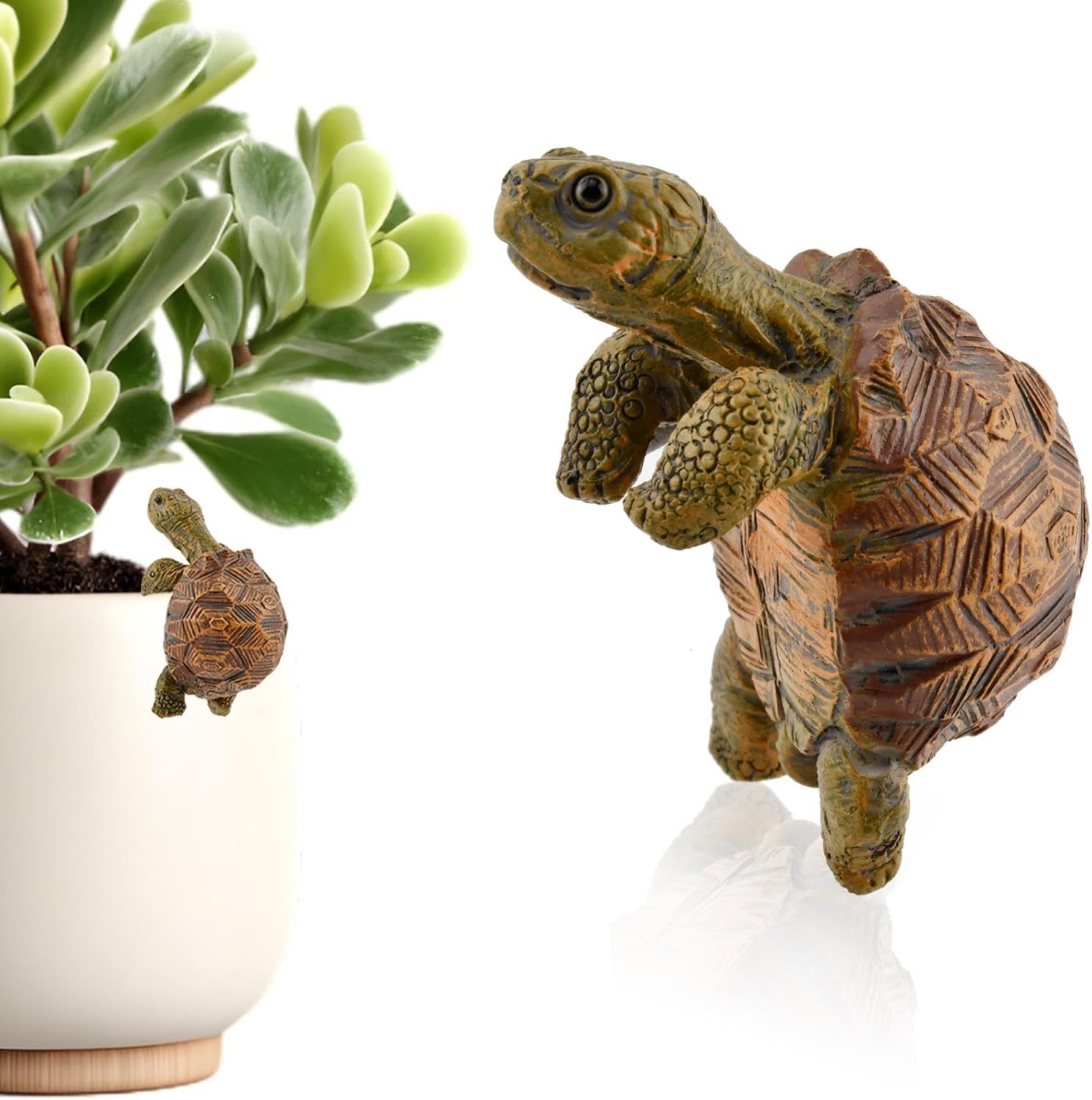 Amazon.com : Frandilo Turtle Statue Tortoise Figurine Plant Pot Hanger ...