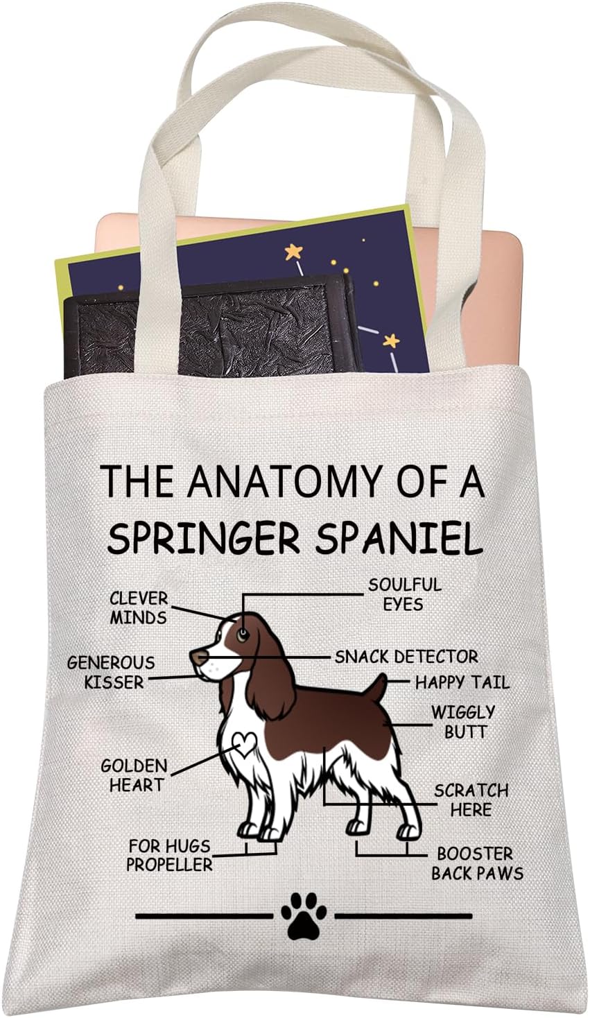 Amazon.com: LEVLO Funny Springer Spaniel Dog Lovers Gifts The Anatomy ...