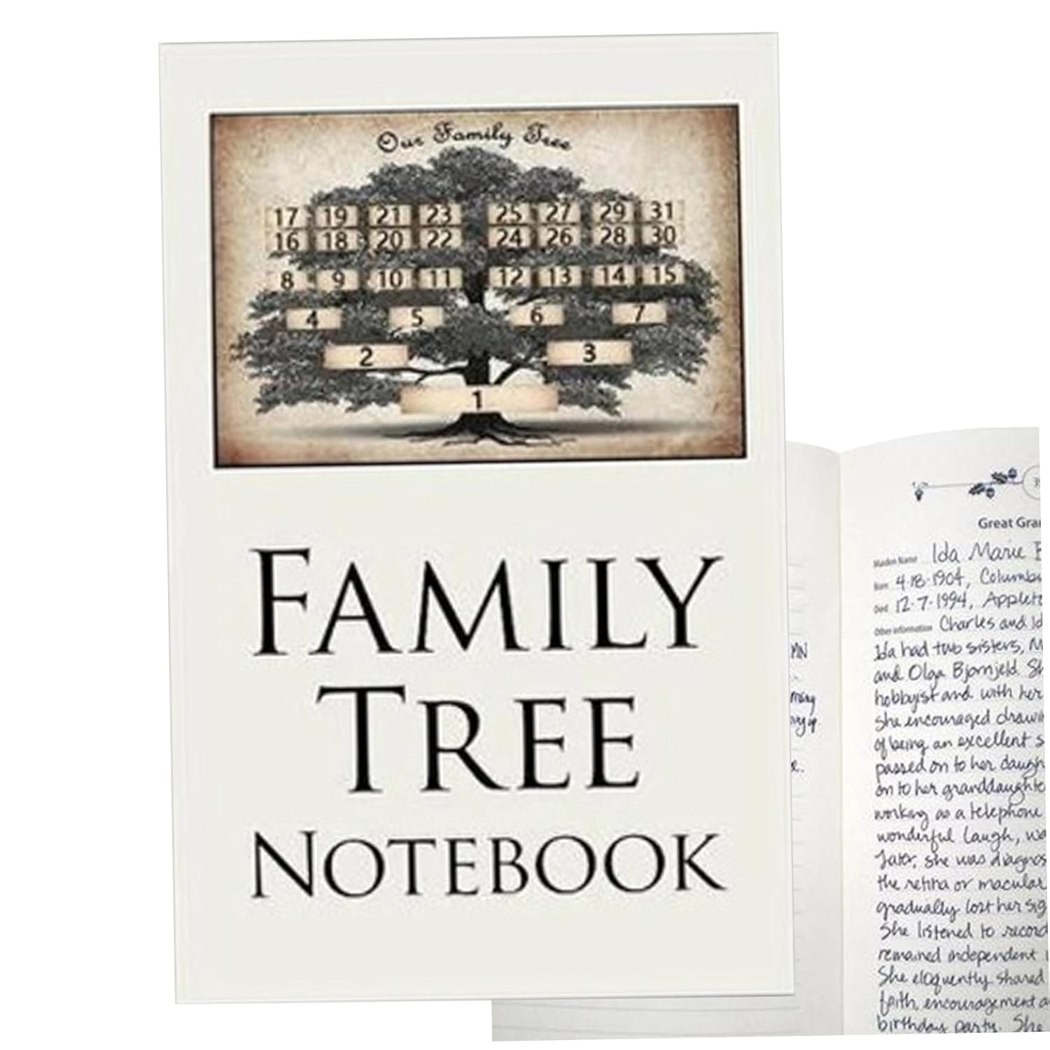 eurNhrN Family Tree Workbook 32 Página 8.3x5.8 pulgada Grabación en ...