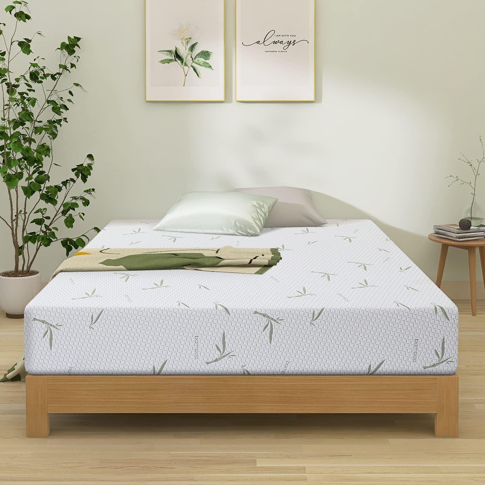 Amazon.com: NChanmar 8 inch Memory Foam Mattress Cooling Gel Green Tea ...