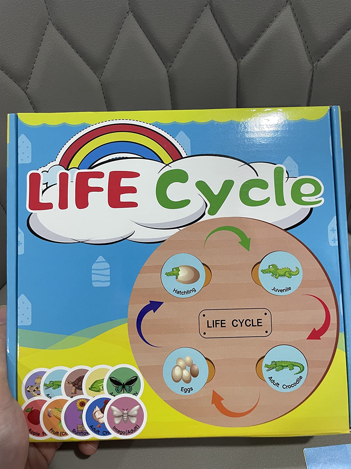 $4/mo - Finance HeyKiddo Life Cycle Toys for Kids, Learning ...