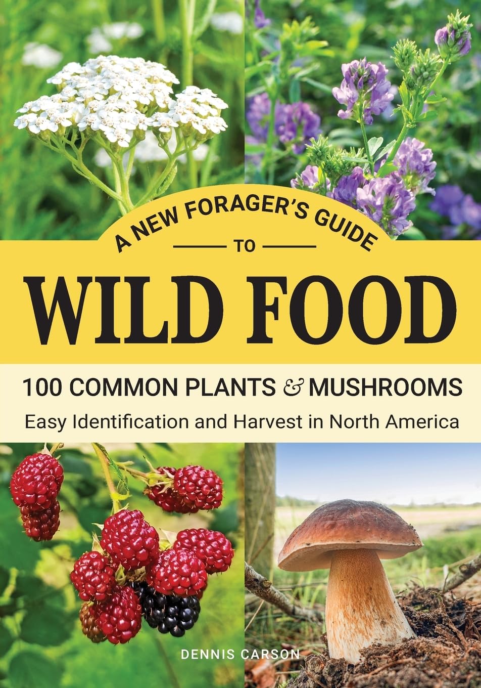 A New Forager’s Guide To Wild Food: 100 Common Plants and Mushrooms ...