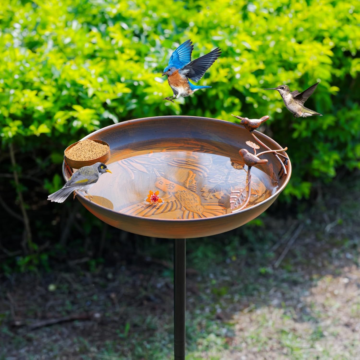 Amazon.com: VEWOSTAR 13” Bird Bath Metal Bird Bath for Outside Bird ...