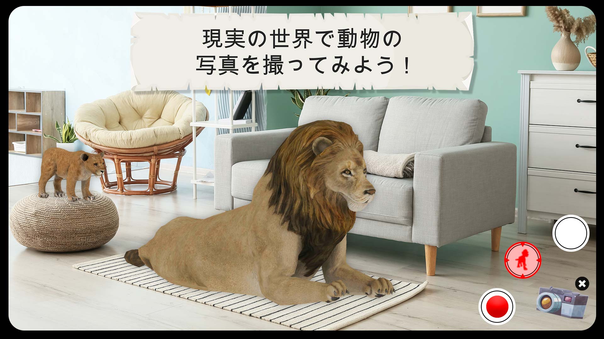 4D Kid Explorer: 野生動物（完全バージョン）-Amazonアプリストアのアプリ