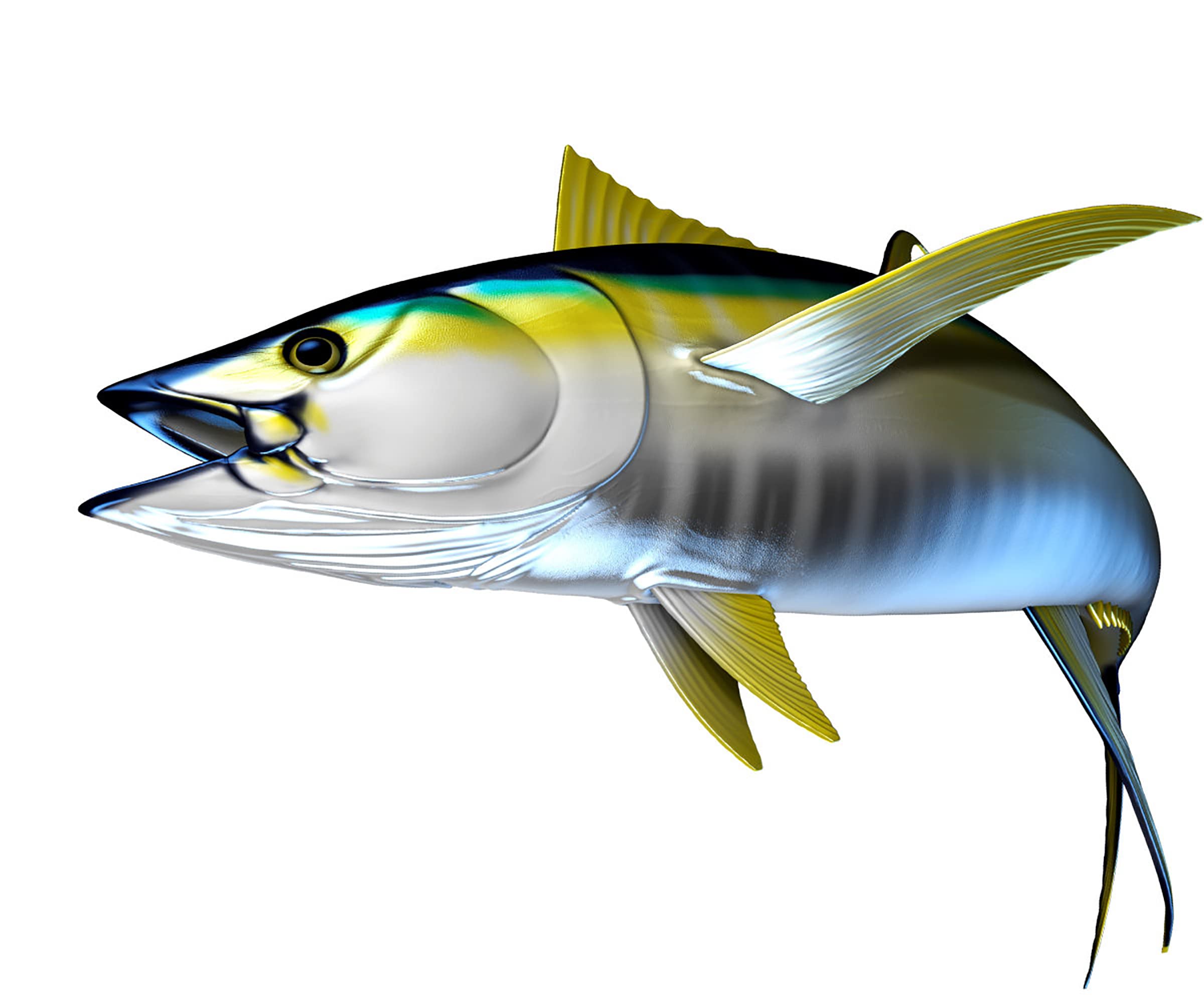 Yellowfin Tuna Jumping