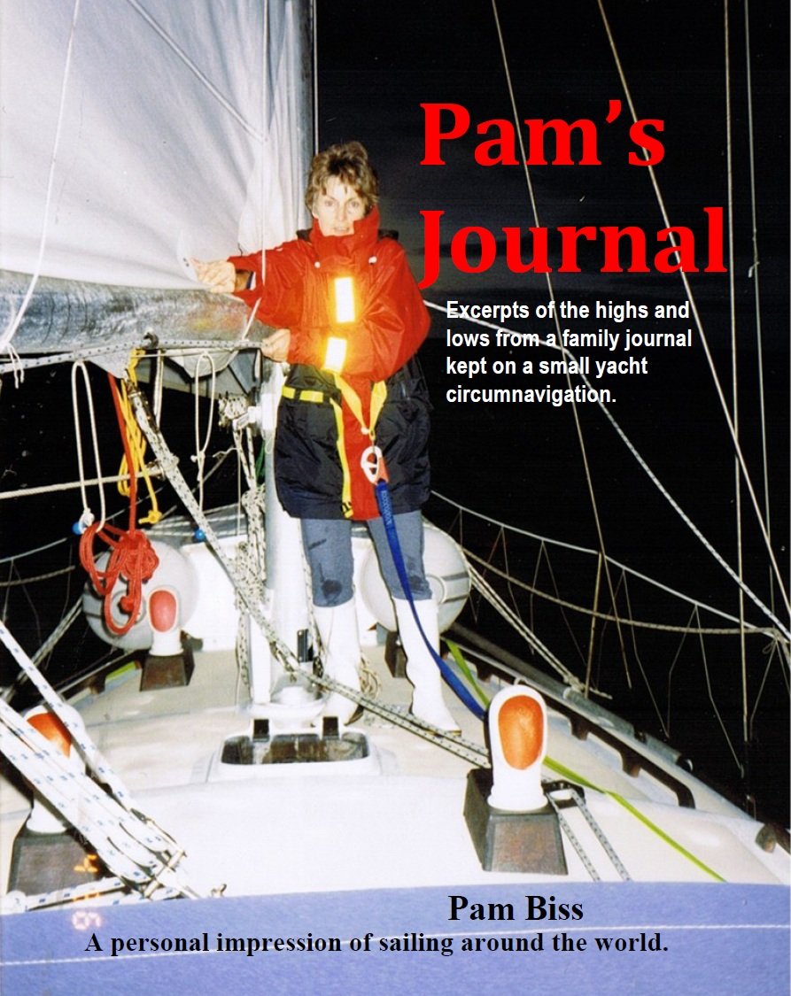 PAM'S JOURNAL eBook : Biss, Pam: Amazon.in: Books