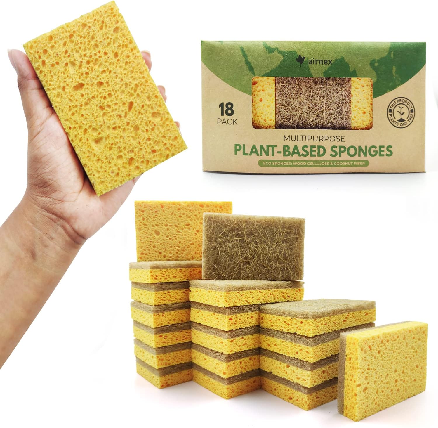 Amazon.com: AIRNEX Natural Kitchen Sponge - Biodegradable Compostable ...
