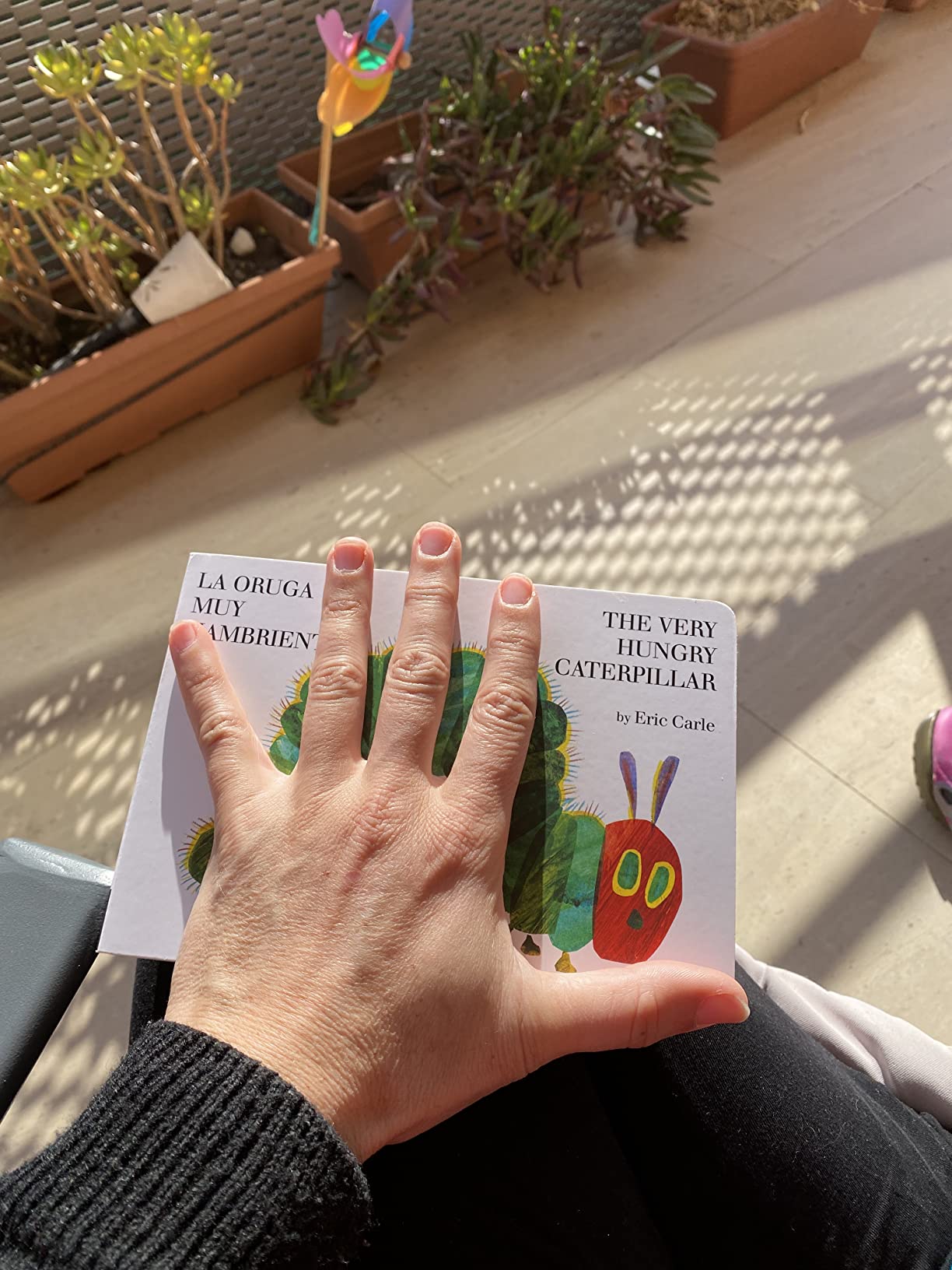 La oruga muy hambrienta/The Very Hungry Caterpillar: bilingual board ...