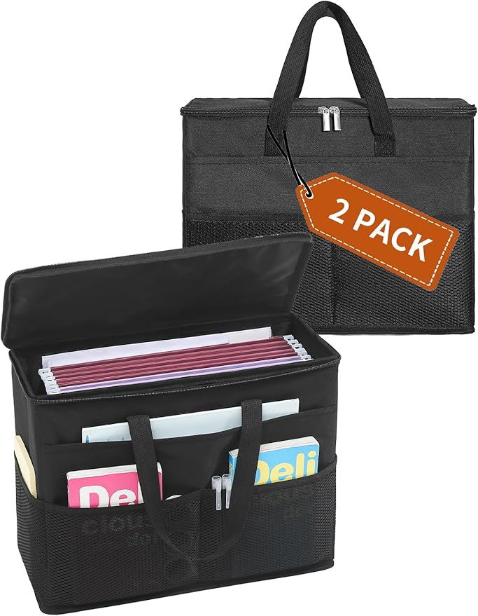Amazon.com: Qozary 2 Pack File Folder Organizer Box-Hanging File Tote ...