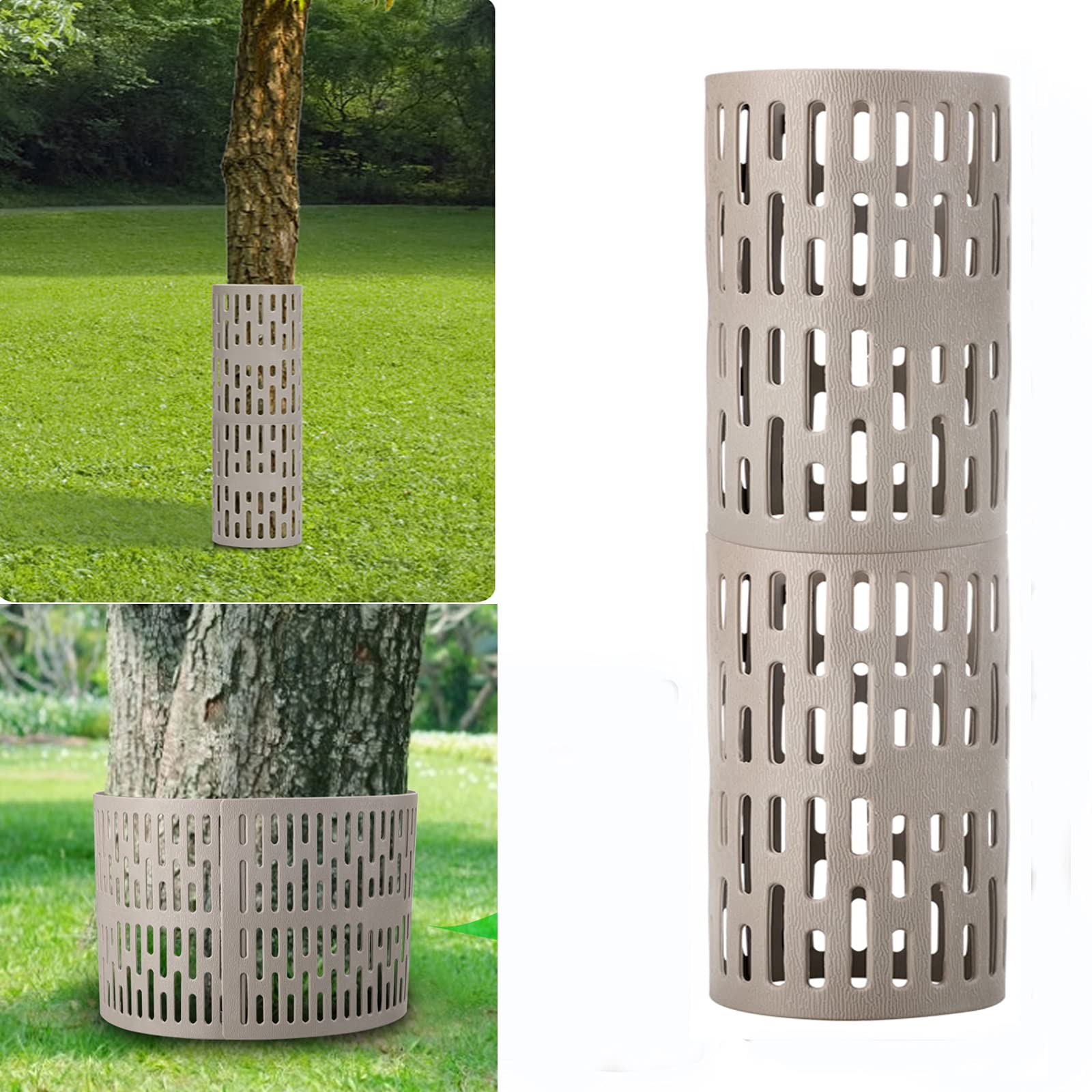 Thin Tree Trunk