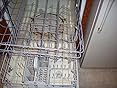 Amazon.com: 5304535380 Dishwasher Upper Dishrack Replacement ...