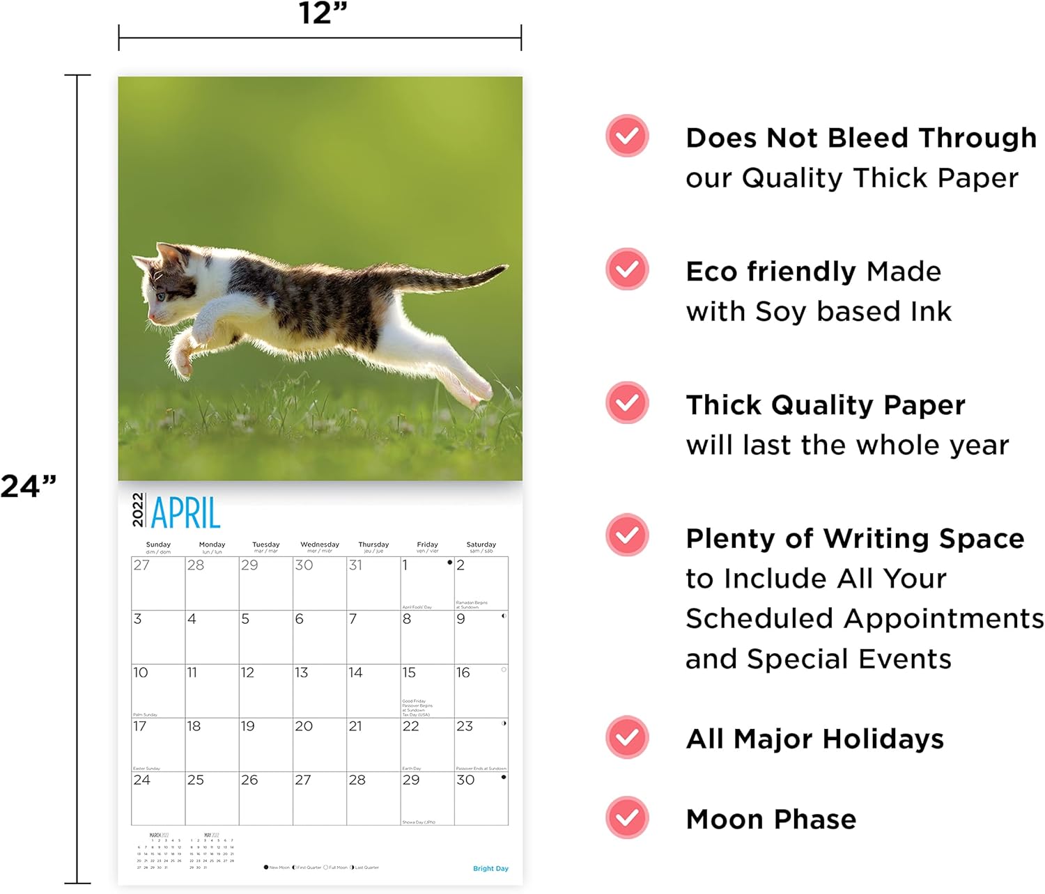 2022 Jumping Animals Wall Calendar by Bright Day, 12 x 12 Inch, Cute ...