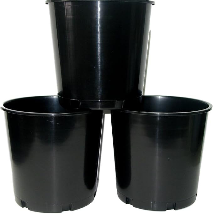 Amazon.com: Offering, Donation Buckets, 12 Pack, Color Black : Health ...