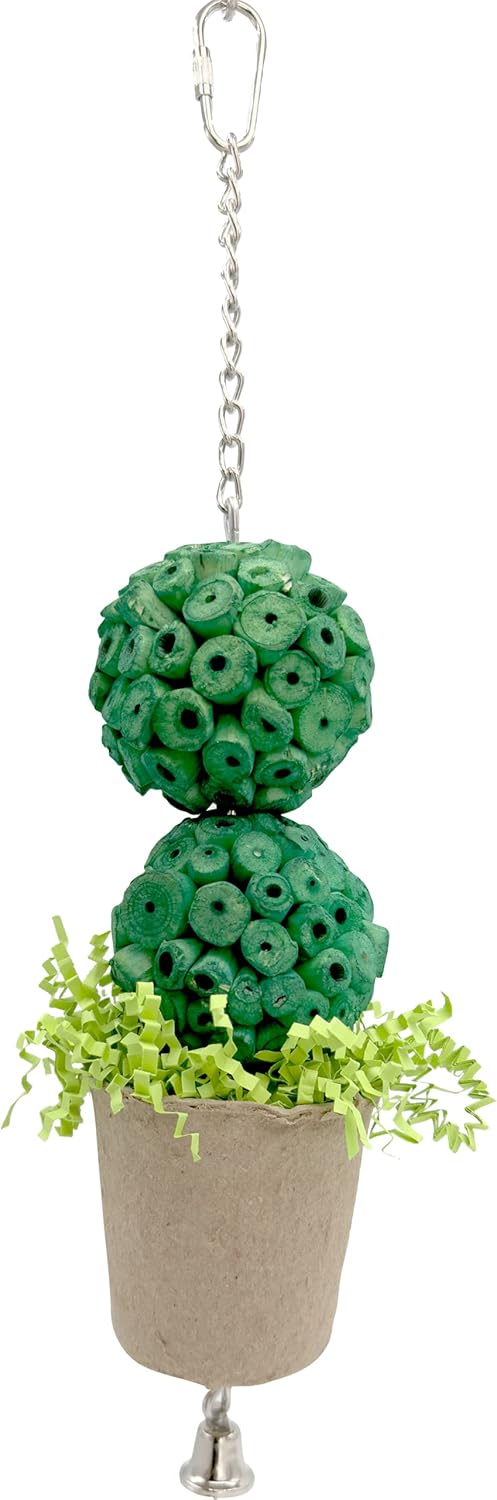 Amazon.com : Mandarin Bird Toys by M&M 1594 Double Green Sola Peat ...