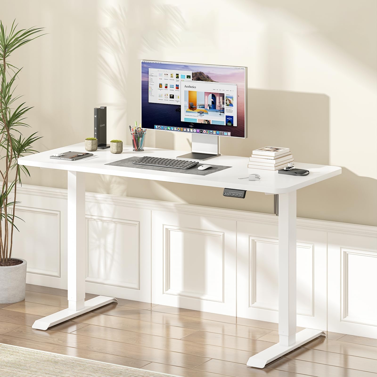 BilySen Electric Standing Desk, Height Adjustable Sit Stand Desk with ...