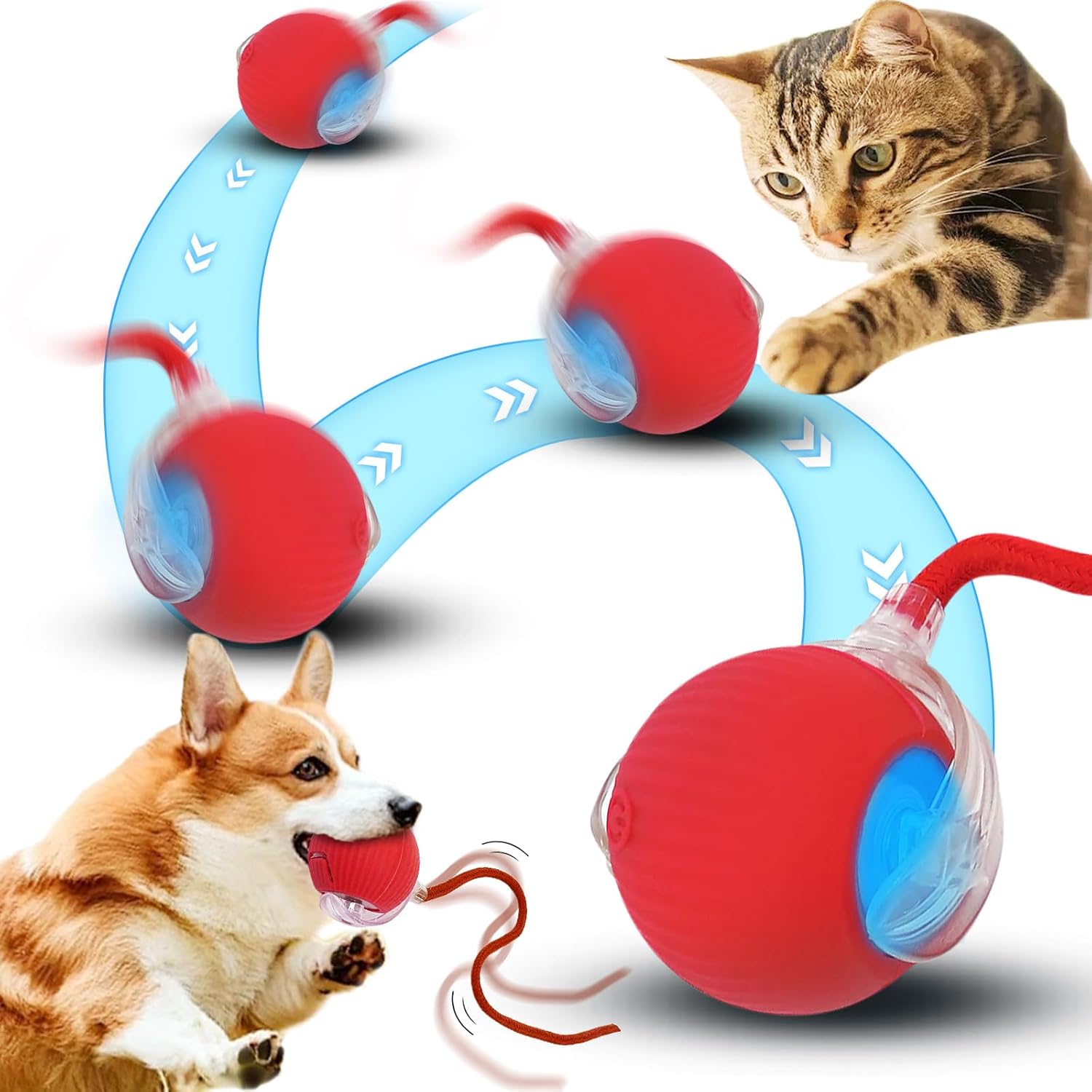 Amazon.com : Supermait Smart Interactive Pet Toy Ball for Cats & Dogs ...