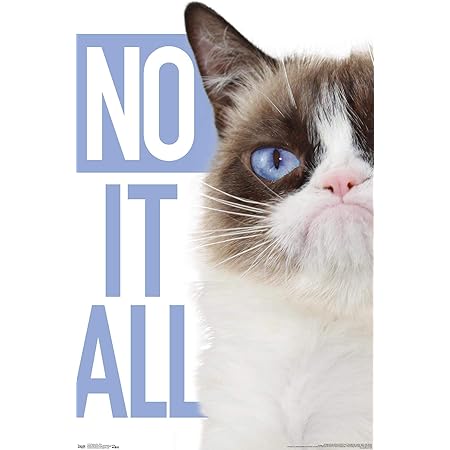 Amazon.com: Trends International Grumpy Cat - Fun Wall Poster, 22.375 ...