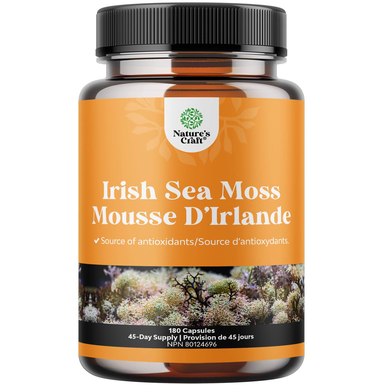 Potent Irish Sea Moss Capsules - Enhanced Vegan Organic Irish Sea Moss ...