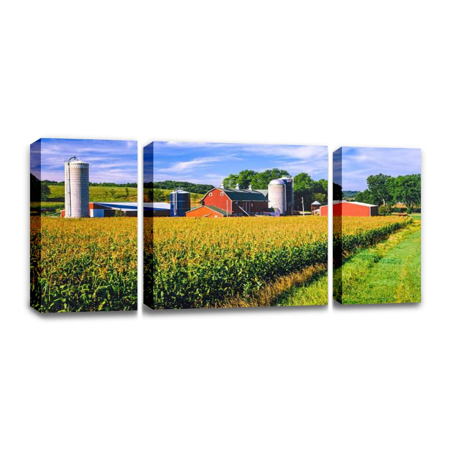 Farm Crop Pictures To Print