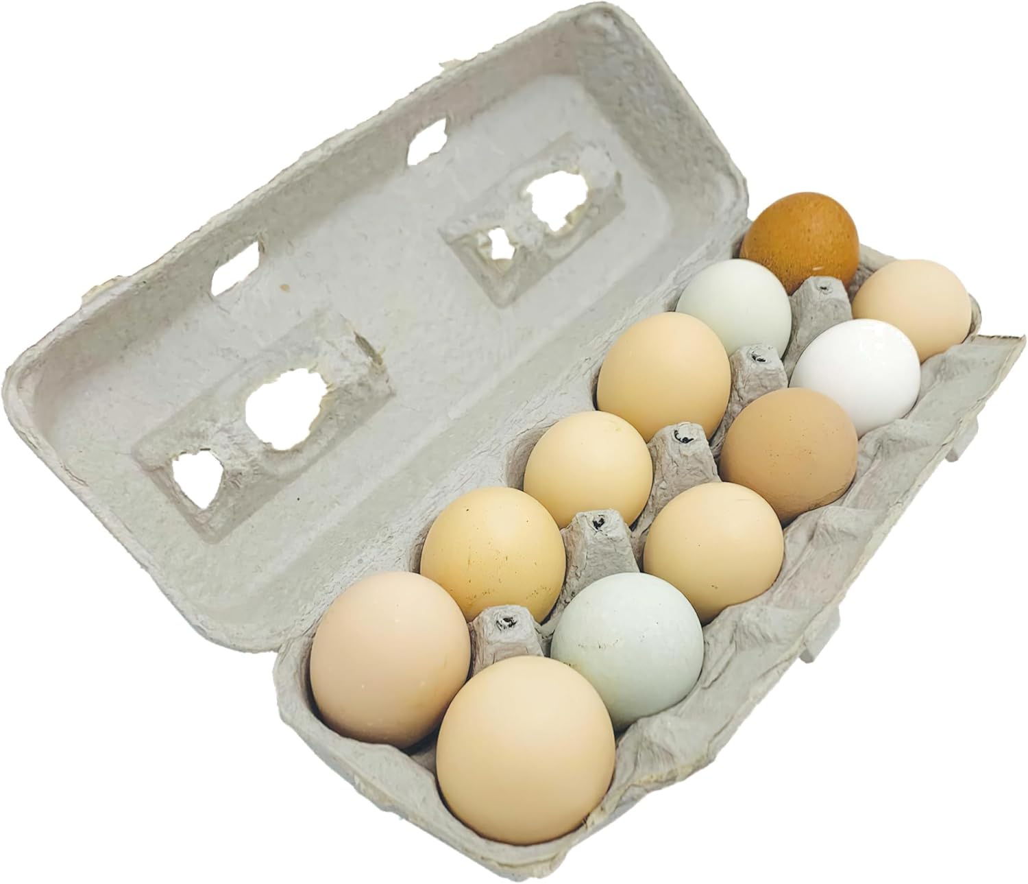 Amazon.com: Stromberg's Large Blank Egg Cartons, Bulk Pack for Large ...