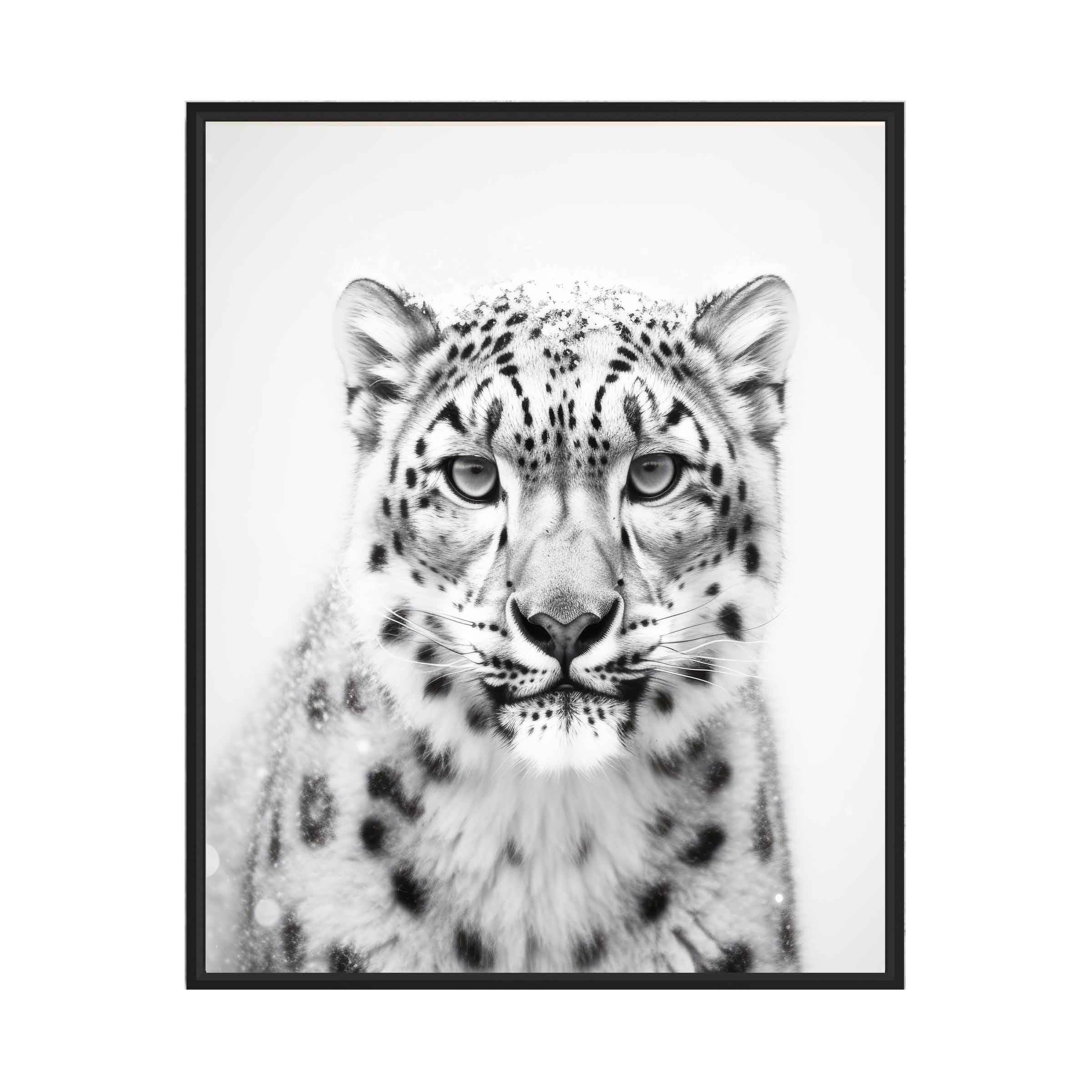 White Snow Leopard Drawings