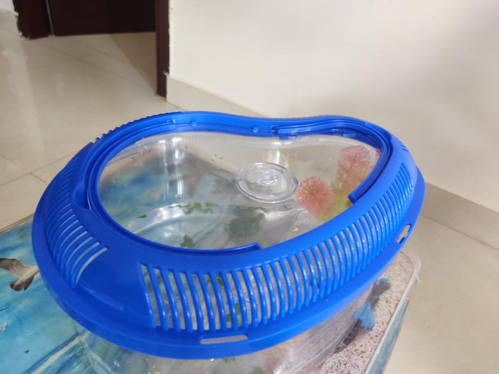 Foodie Puppies Turtle House (33.5X 24x 17cm) Reptile Carrier with Bask ...