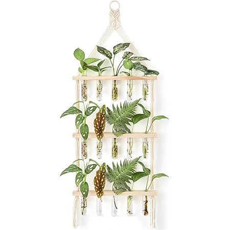 Amazon.com: XXXFLOWER Wall Hanging Propagation Station with Wooden ...