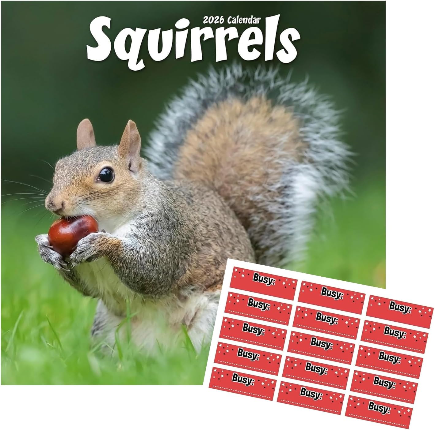 Squirrels Calendar 2026 | Square Wall Calendar | 16 Month | September ...