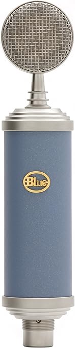 Amazon.com: Blue Microphones Bluebird Condenser Microphone : Musical ...