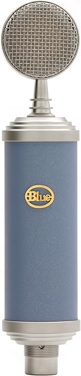 Amazon.com: Blue Microphones Bluebird Condenser Microphone : Musical ...