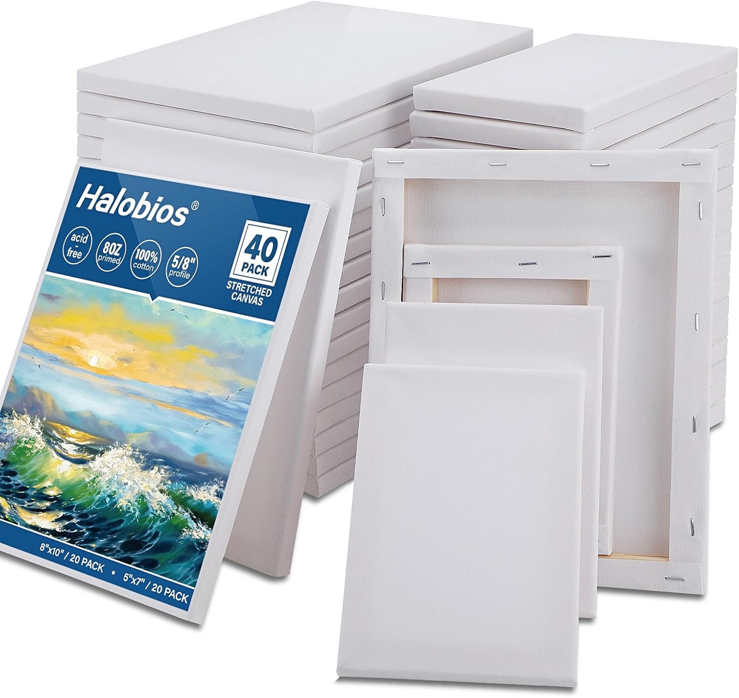 Amazon.com: Halobios 40 Packs Professional Stretched Canvas for ...