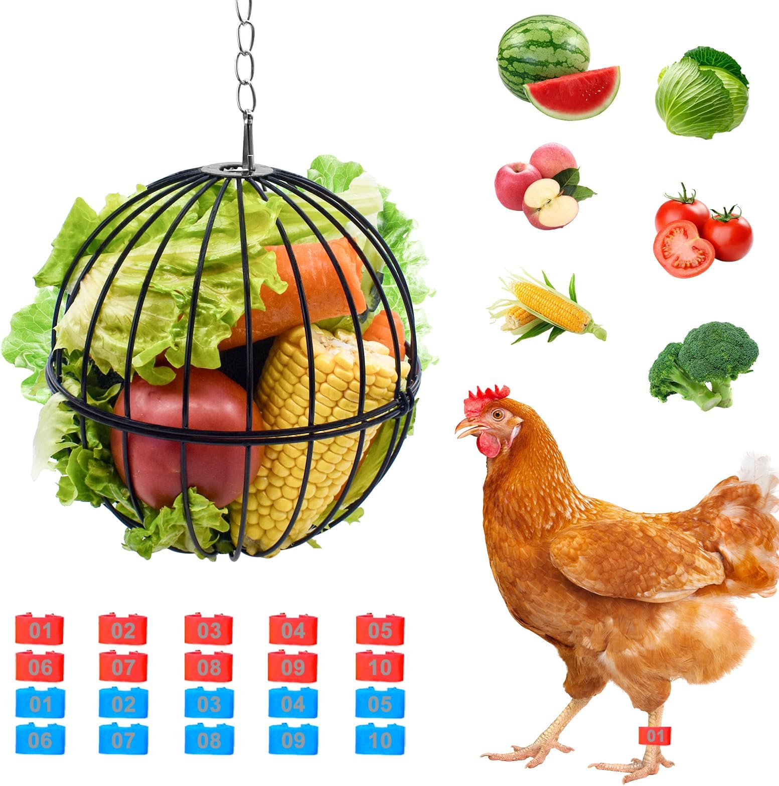Amazon.com : Lokolinto Hanging Chicken Feeder, Large Durable Hanging ...