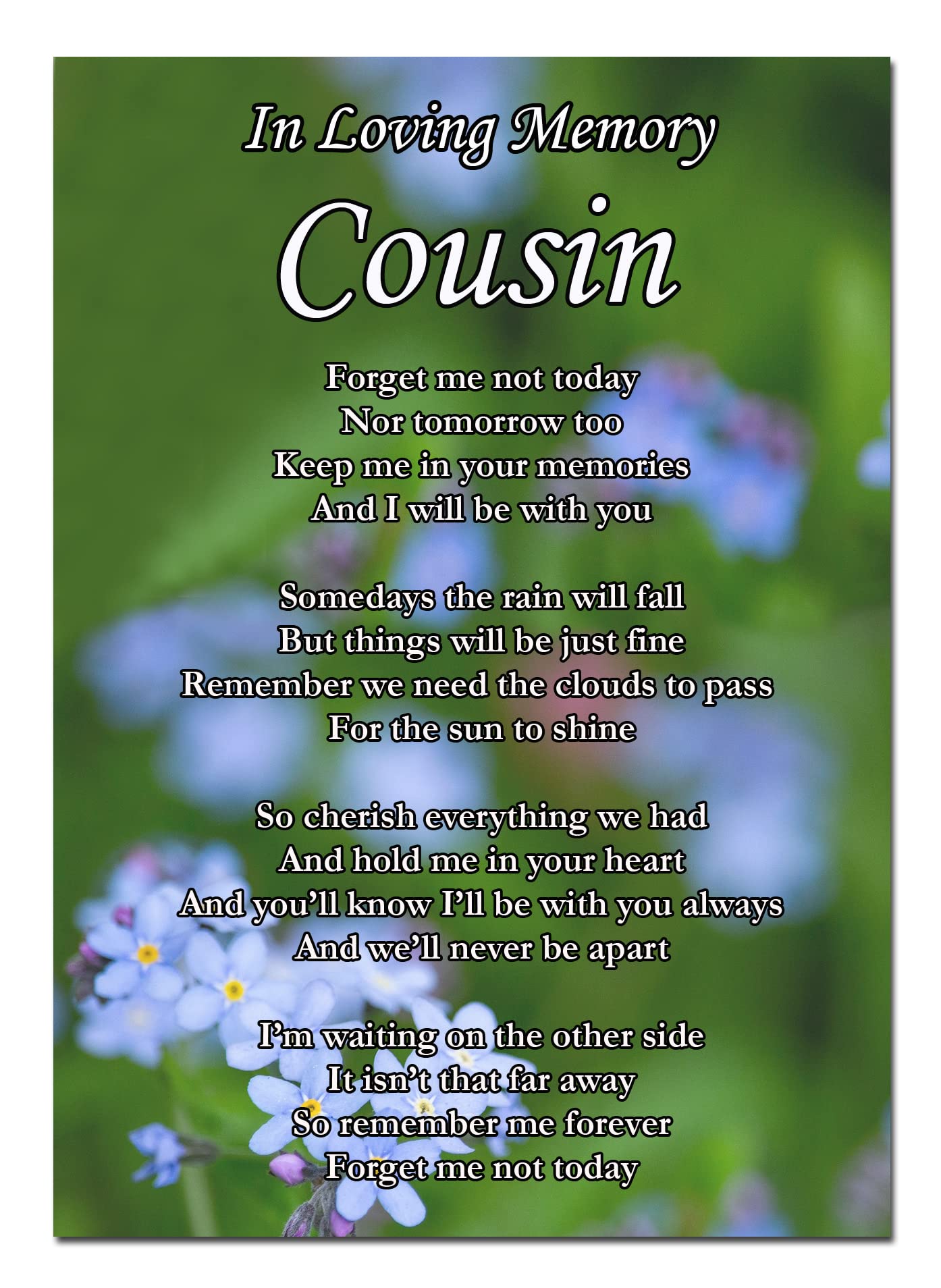Cousin Memorial Card Graveside Forget Me Not Poem & Ground Stake F510 ...