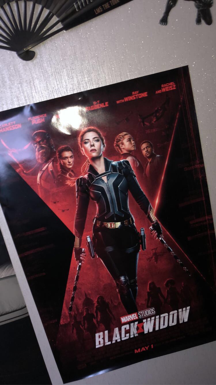 Craftylittlepenguin Black Widow Poster 2020 Print Unframed A3 A2 A4 ...