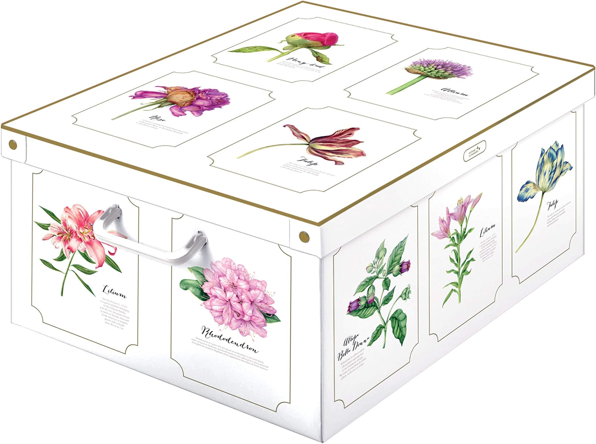 Aufbewahrungsbox aus Karton, Geschenkbox aus pappe mit deckel ...