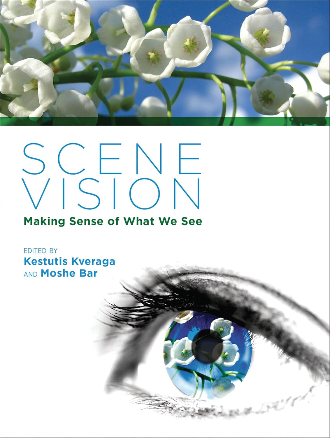 Scene Vision: Making Sense of What We See: 9780262027854: Medicine ...