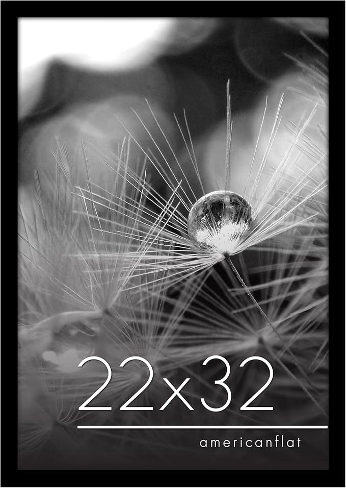 Amazon.com - Americanflat 22x32 Poster Frame with Polished Plexiglass ...