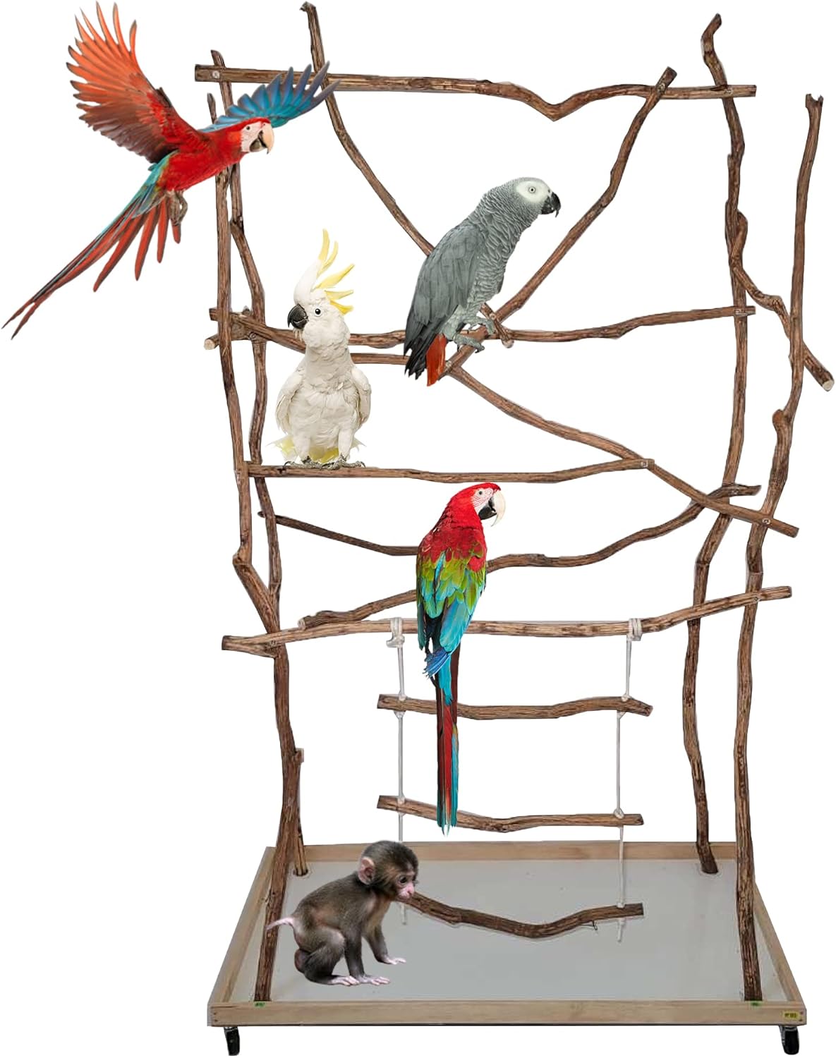 Amazon.com : ExoticDad Large Bird Perch - Customize Your Perch Designed ...