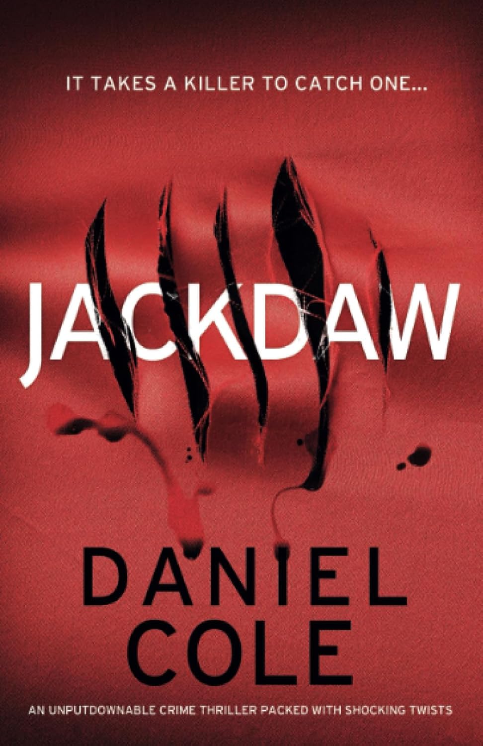 Amazon.com: Jackdaw: An unputdownable crime thriller packed with shocking twists: 9781805082750 ...
