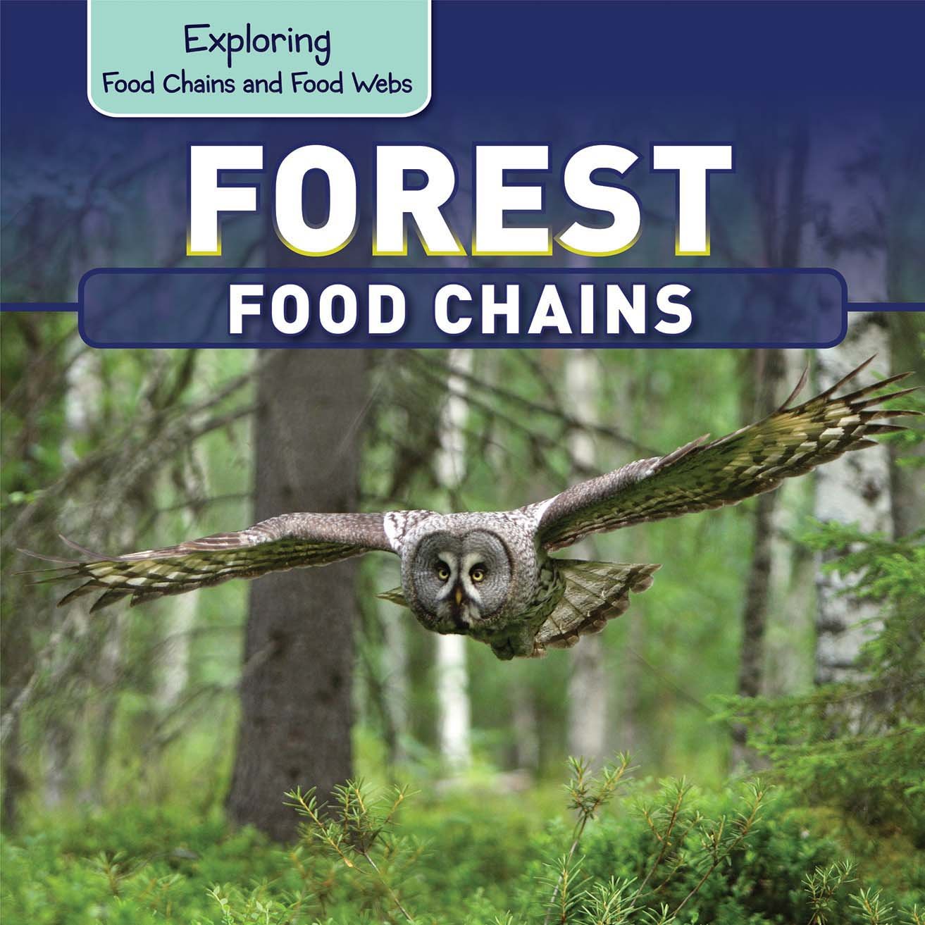Forest Food Chains (Exploring Food Chains and Food Webs, 4): Kawa ...