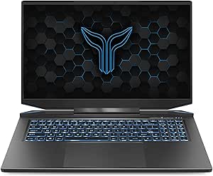 Amazon.com: Eluktronics Prometheus XVII(2021) 17.3in RTX 3070 Gaming ...