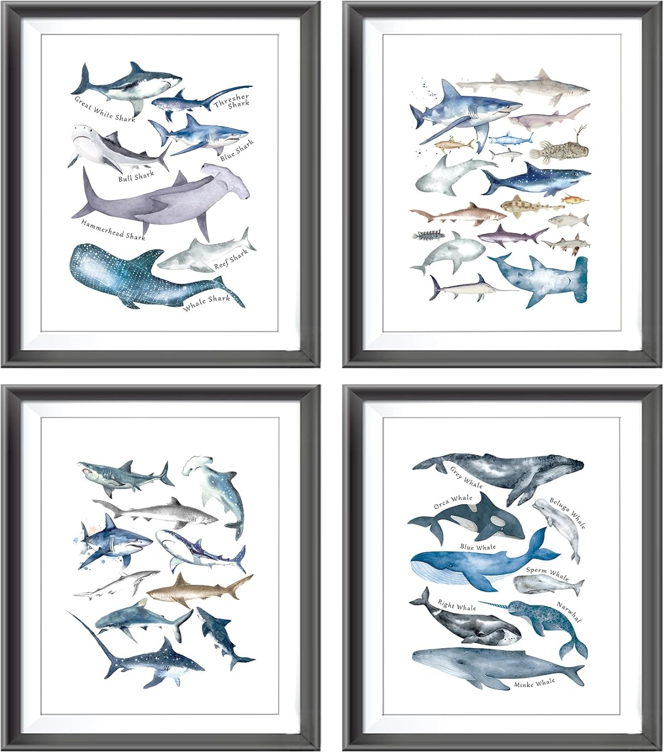 Amazon.com: Watercolor Rustic Sharks Whales Blue Sea Ocean Animal ...