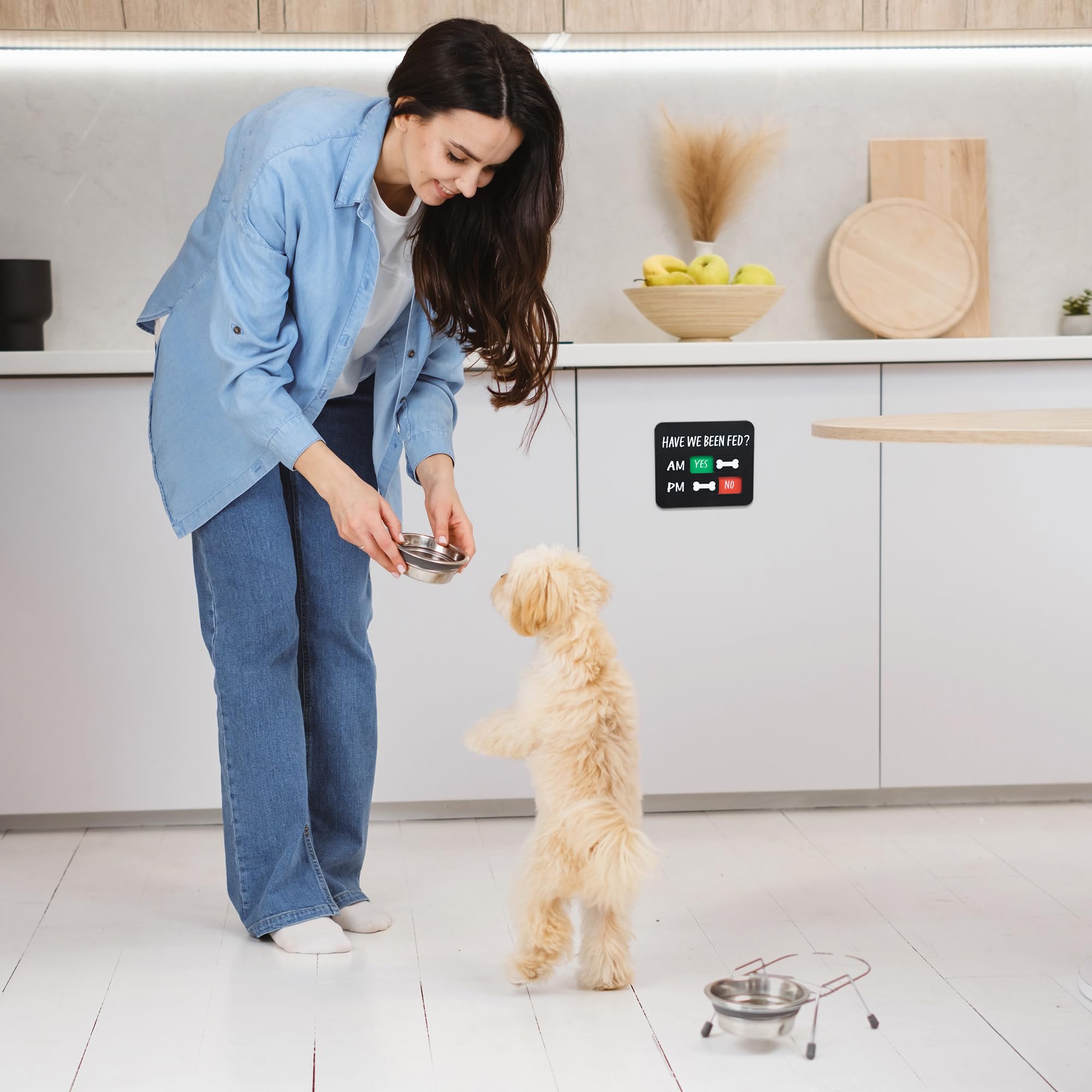 Adhesive Pill Tracker Pet Supplies : Dog Feeding Reminder, Dog Fed Sign ...