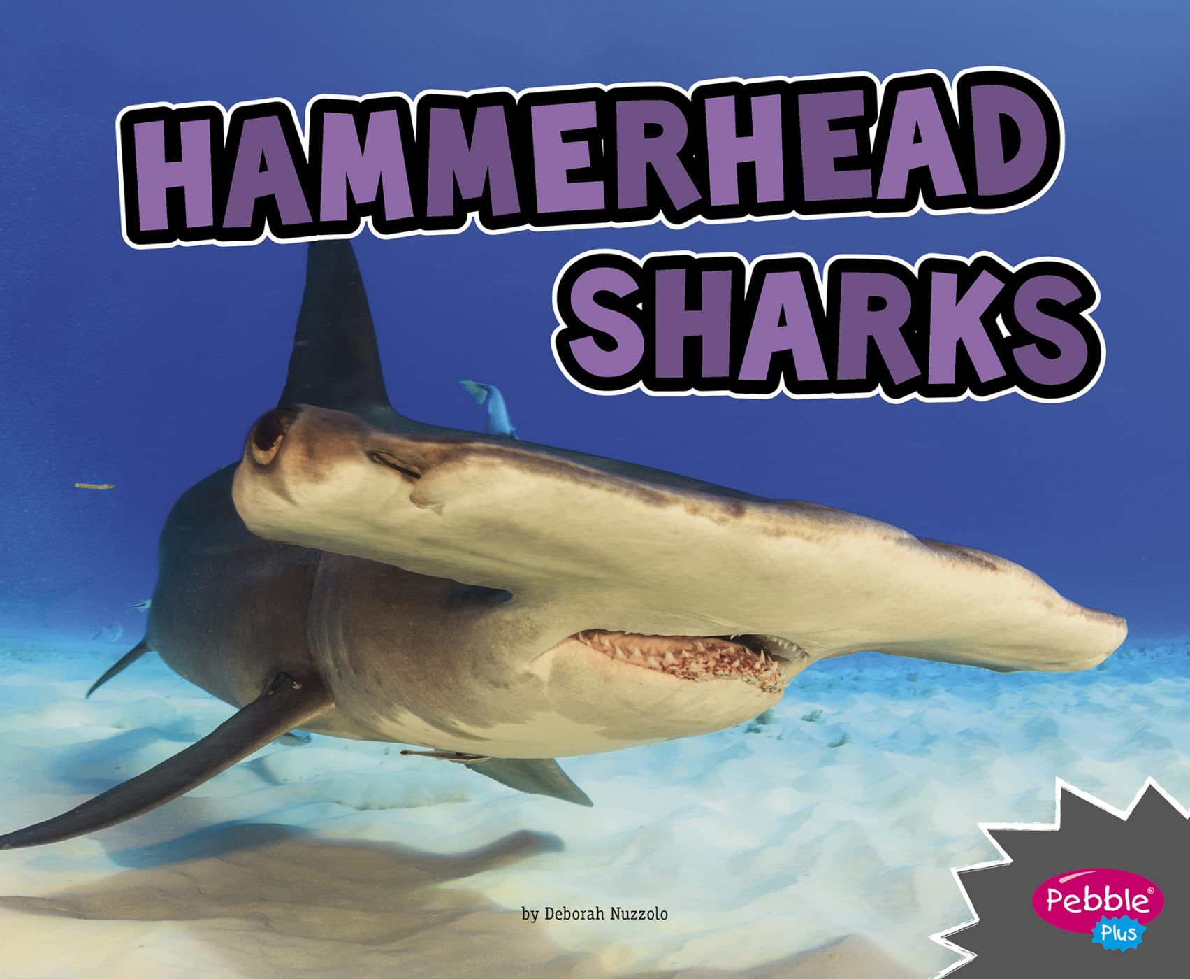 Hammerhead Sharks (All About Sharks): Nuzzolo, Deborah: 9781515770091 ...