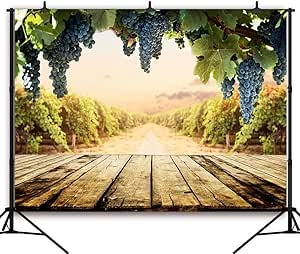 Amazon.com : DePhoto 9x6Ft Vineyard Backdrop French Countryside Orchard ...