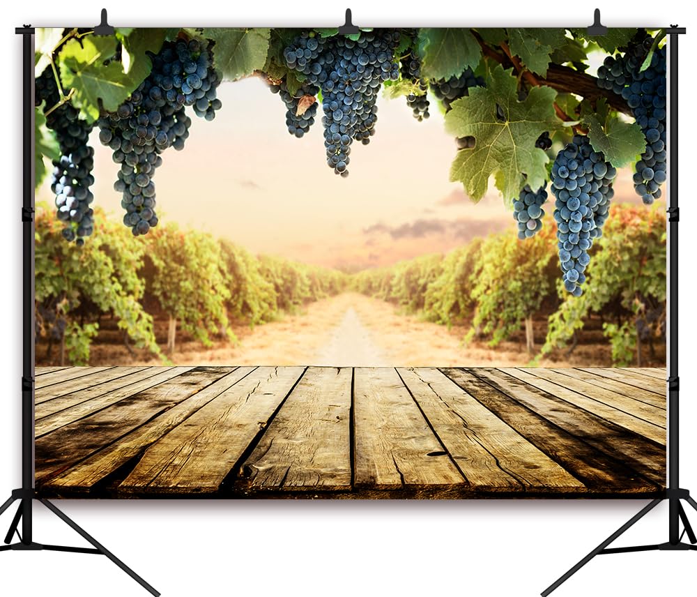Amazon.com : DePhoto 7x5Ft Vineyard Backdrop French Countryside Orchard ...